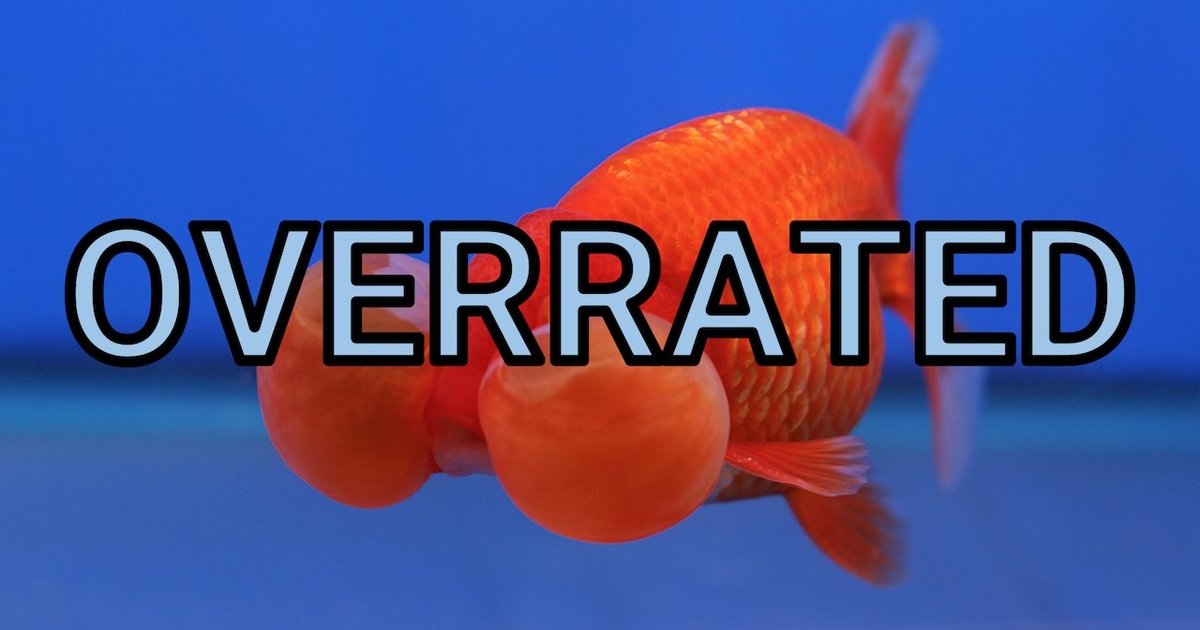 Most overrated tv shows of all time Quiz - By jeremy50212
