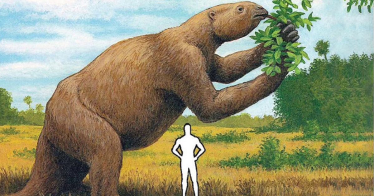 Geographic Range of the Giant Ground Sloth Quiz - By Tom_the_Terrible