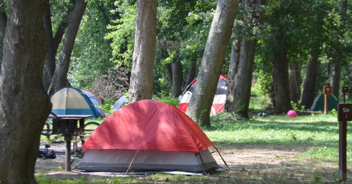 Tents and Trees Logic Puzzle #110 Quiz - By garolo