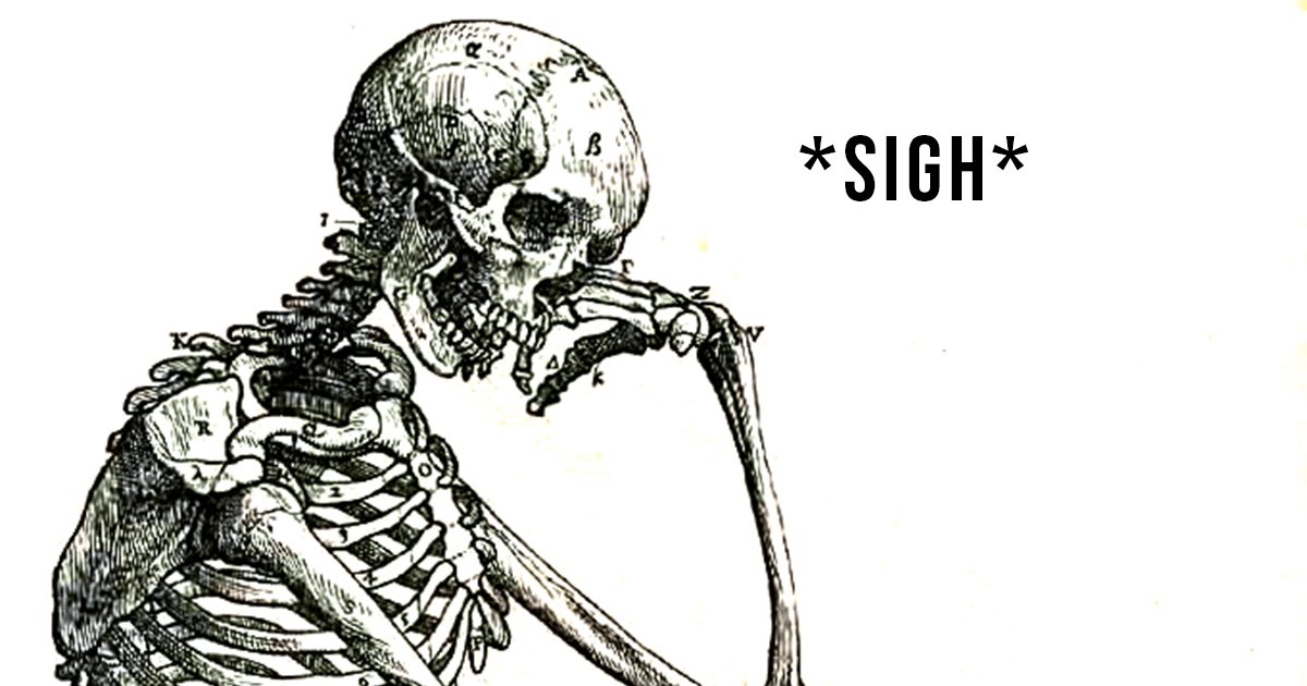 Human Bones Quiz By Slothman07 human-bones-quiz-by-slothman07
