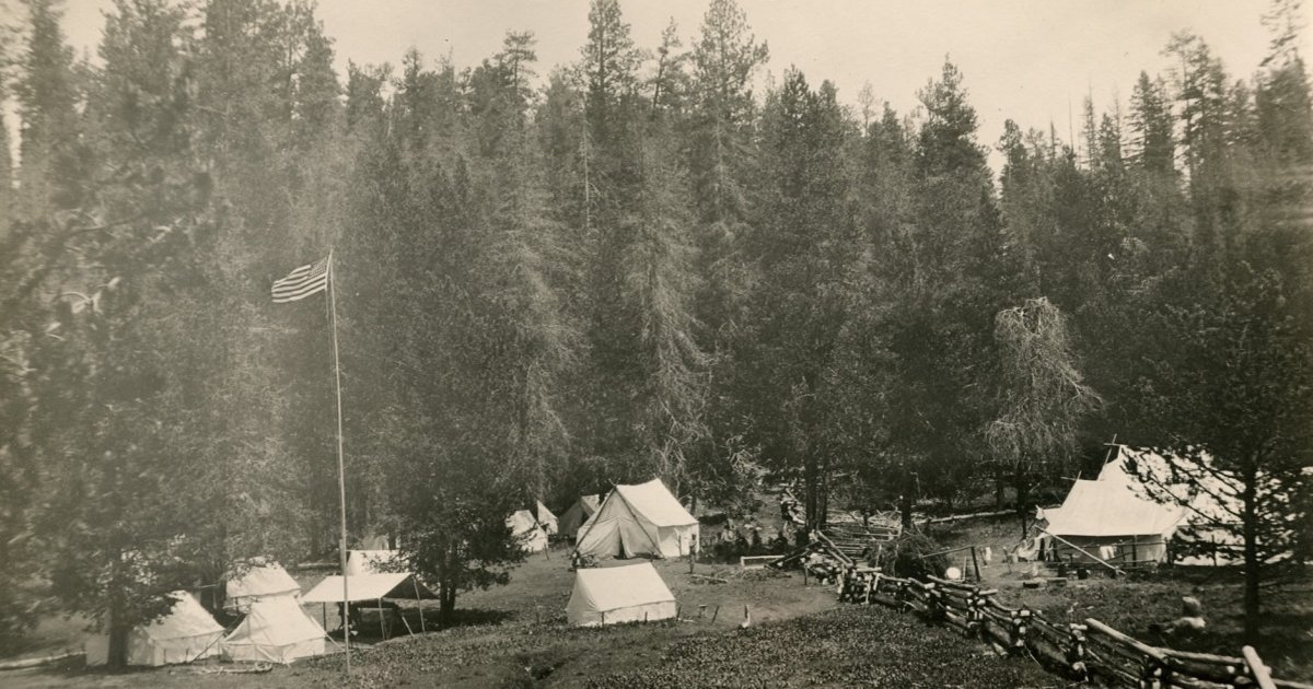 Tents and Trees Logic Puzzle #118 Quiz - By garolo