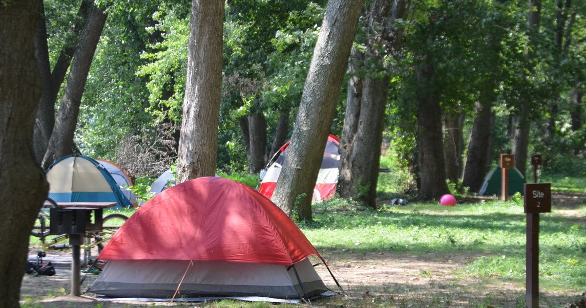 Tents and Trees Logic Puzzle #120 Quiz - By garolo