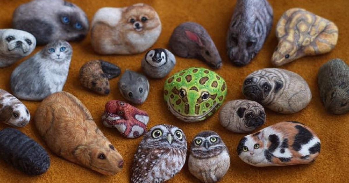 Find the Rock Animals Quiz - By alvir28