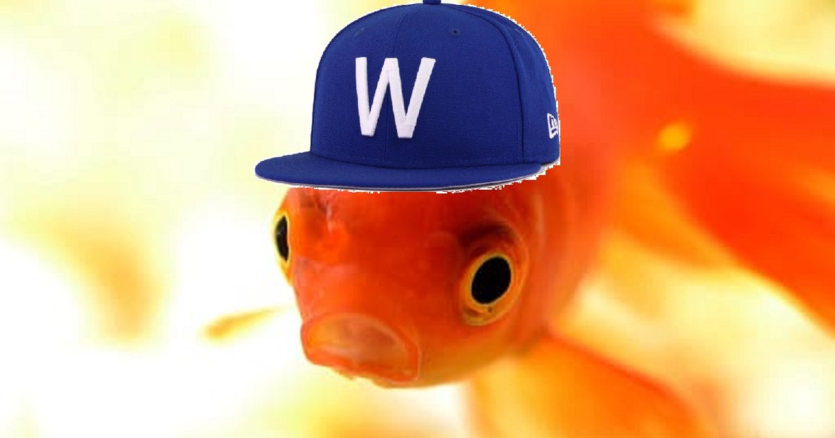 Big 4 'Replacement Goldfish' Quiz - By mikenew