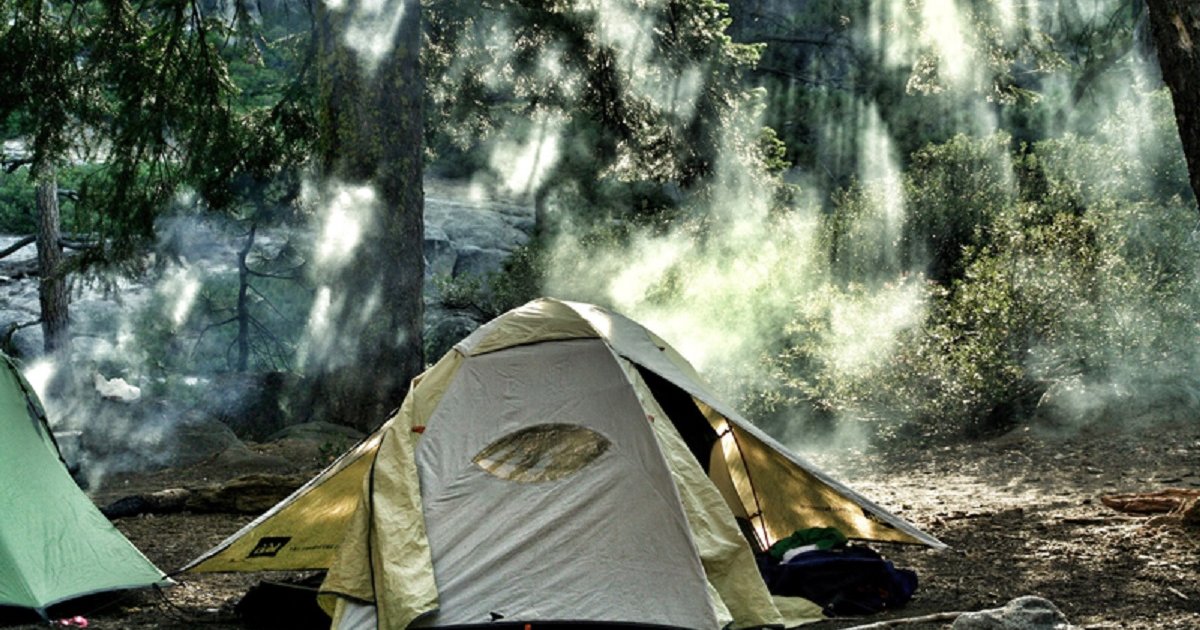 Tents and Trees Logic Puzzle #123 Quiz - By garolo