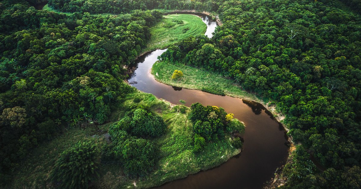Amazon Rainforest Countries by Flag Quiz - By johncenafan612