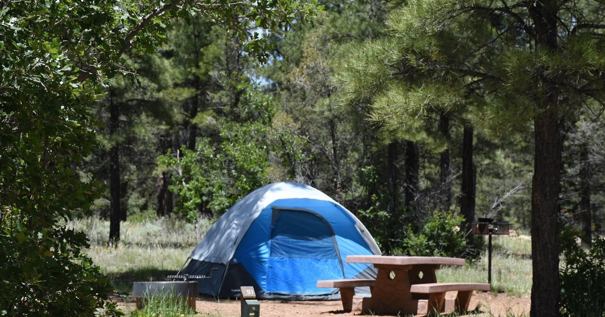 Tents and Trees Logic Puzzle #126 Quiz - By garolo