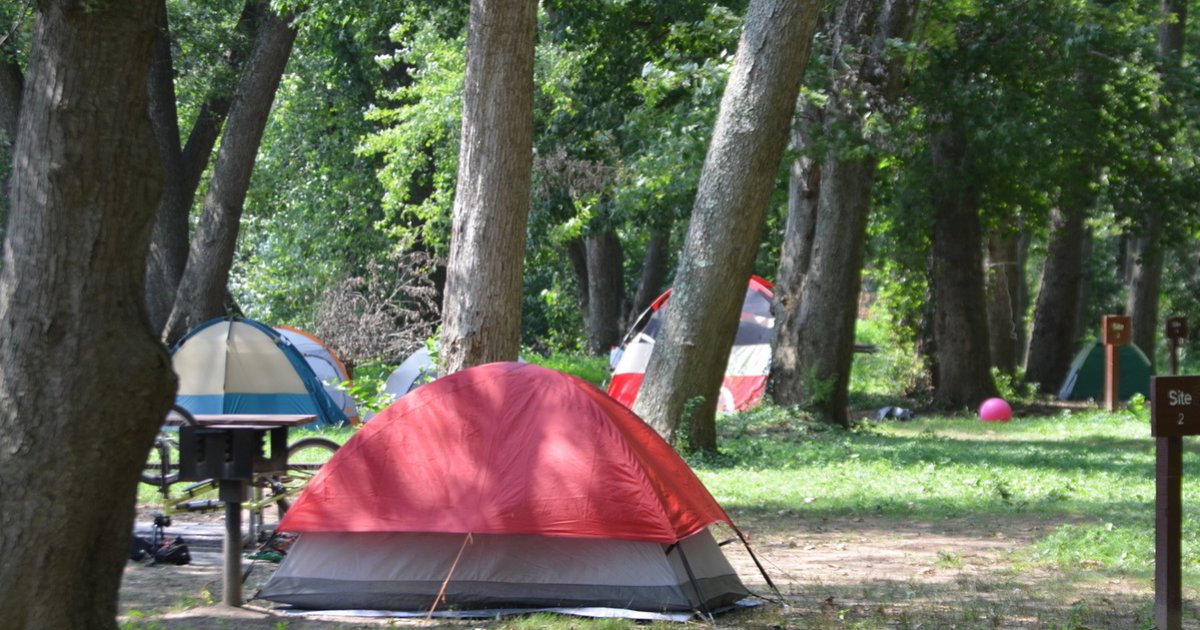 Tents and Trees Logic Puzzle #140 Quiz - By garolo