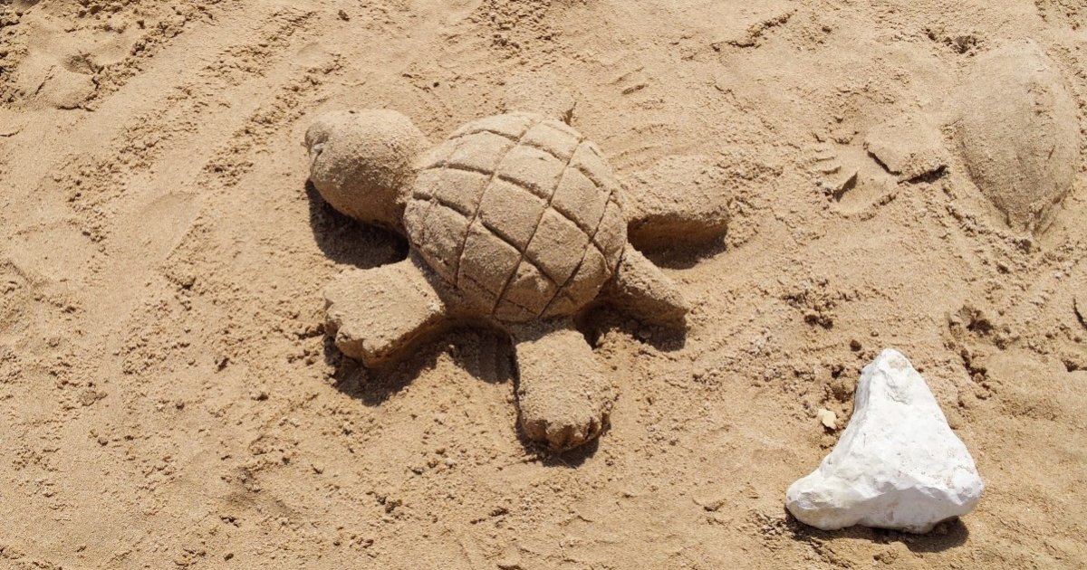 Find the Sand Animals II Quiz - By alvir28