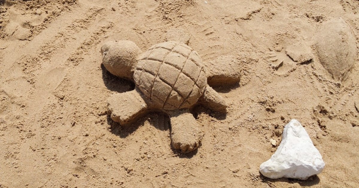 Find the Sand Animals III Quiz - By alvir28