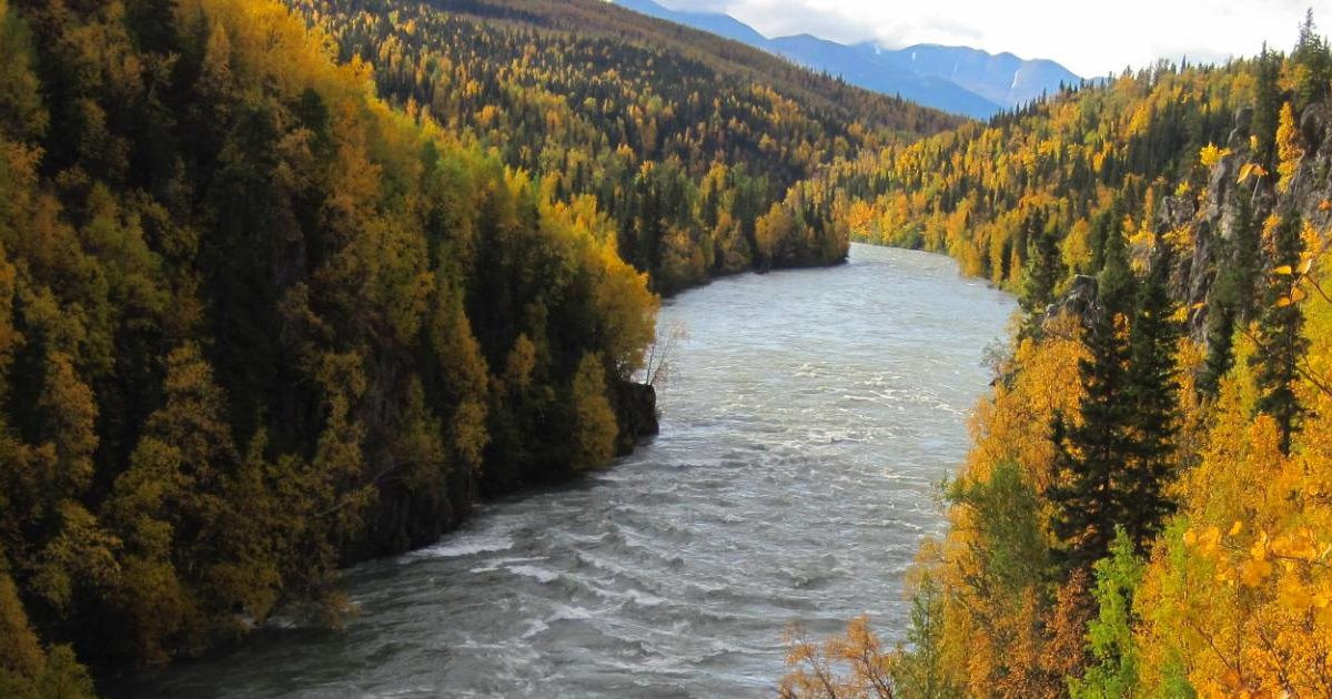 100 world rivers Quiz - By CaiustheTall