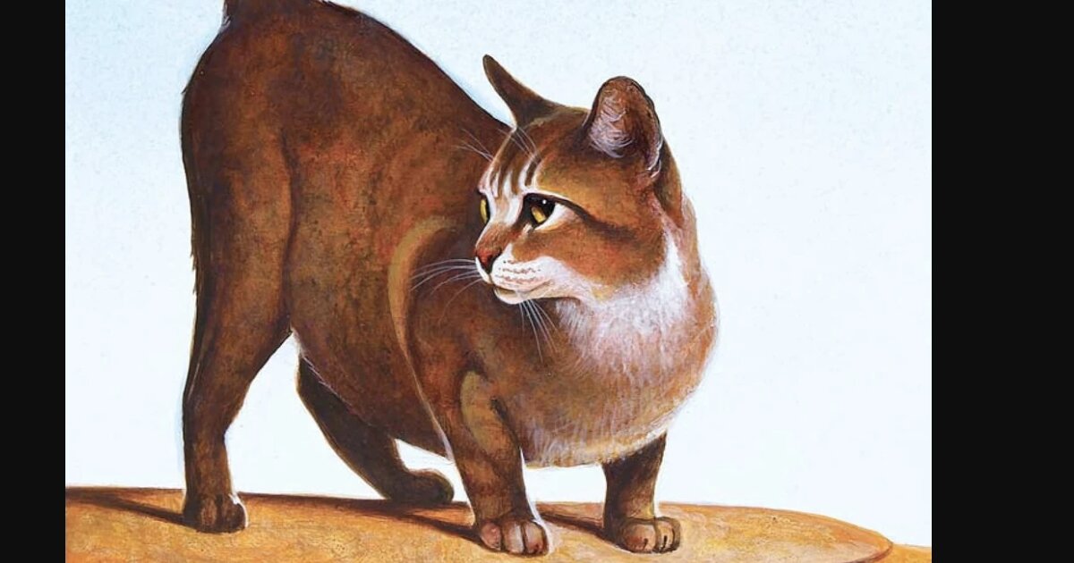 Warrior Cats All Tribe of Rushing Water Cats Quiz - By spiderwing21