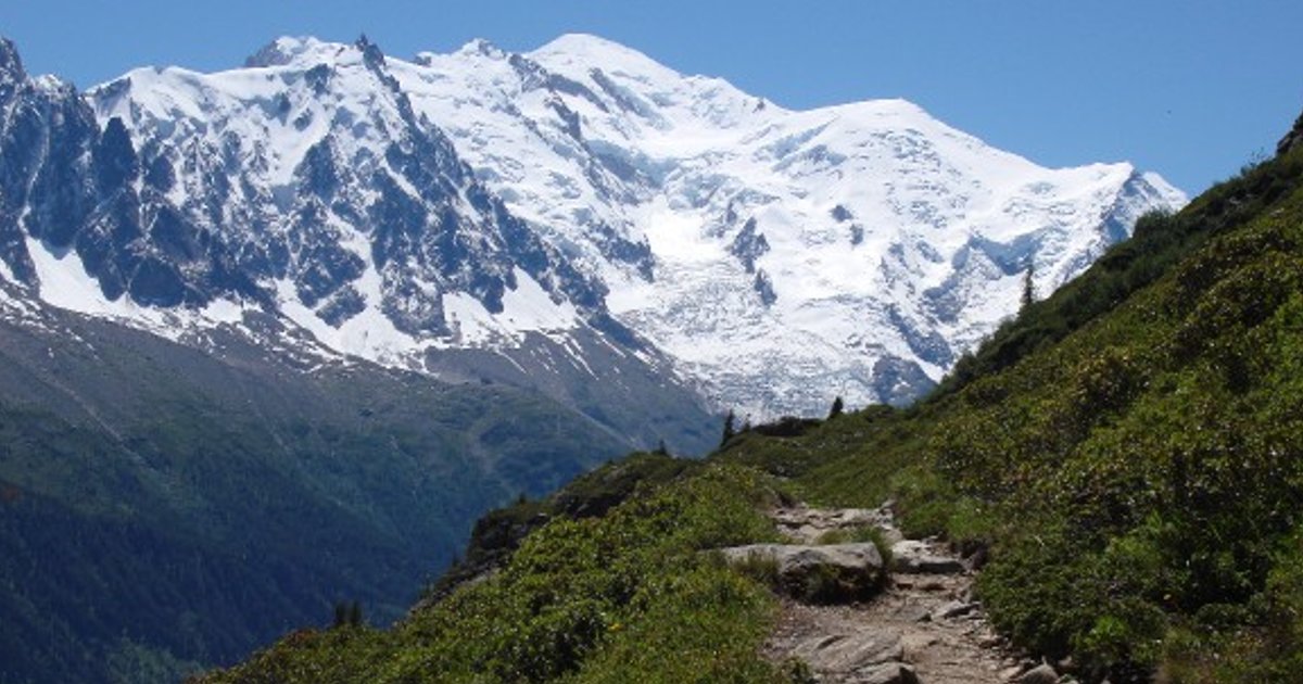 Regional Fauna: Alps Quiz - By Tasi