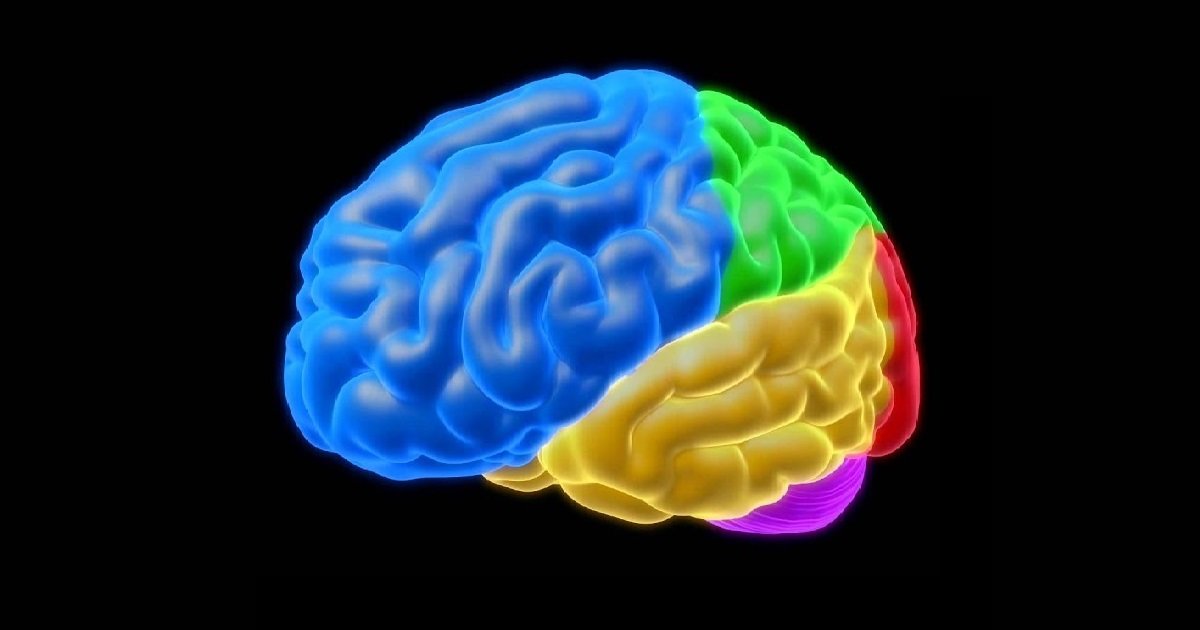 Your Brain!: Functions Quiz - By FarahTheOne