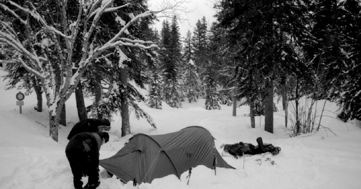 Tents and Trees Logic Puzzle #155 Quiz - By garolo