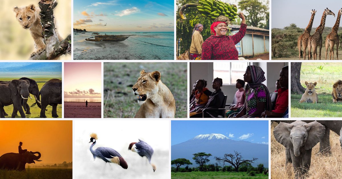 Africa according to Pixabay Quiz - By MoMosMoProblems