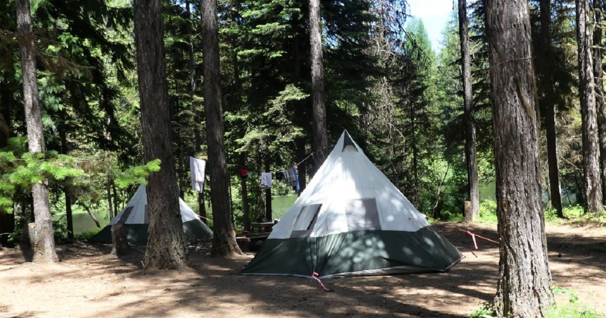 Tents and Trees Logic Puzzle #157 Quiz - By garolo
