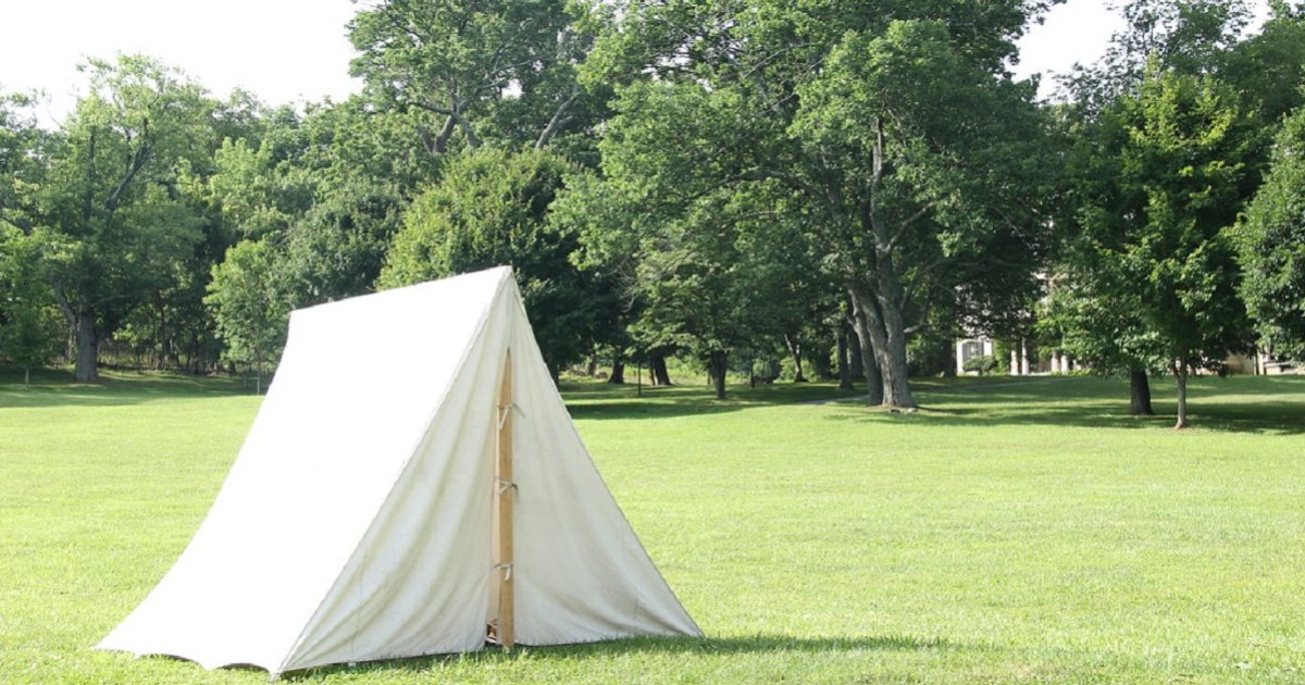 Tents and Trees Logic Puzzle #158 Quiz - By garolo