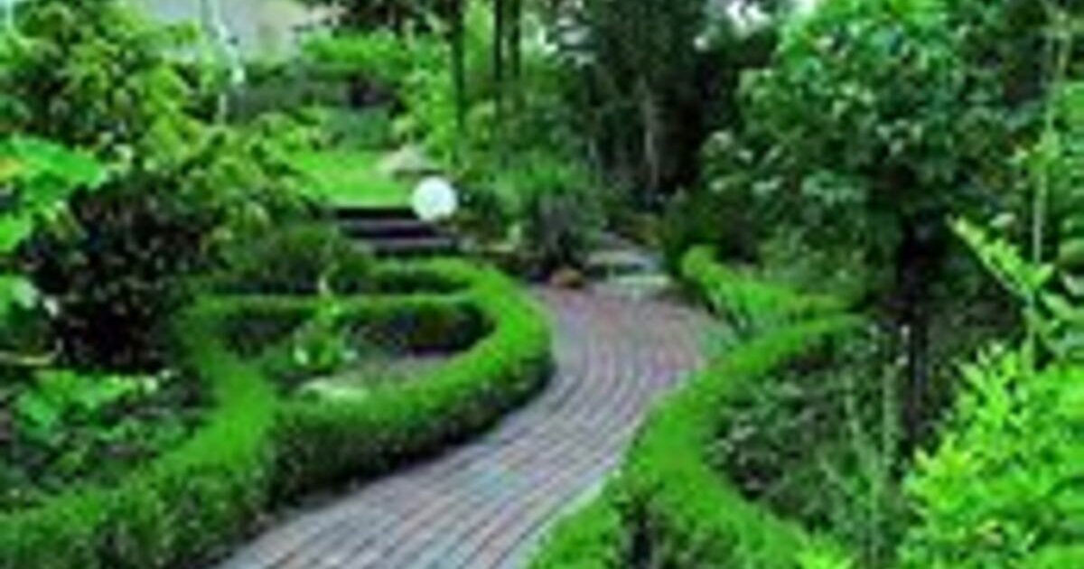 Find Your Path Quiz - By PolarSloth