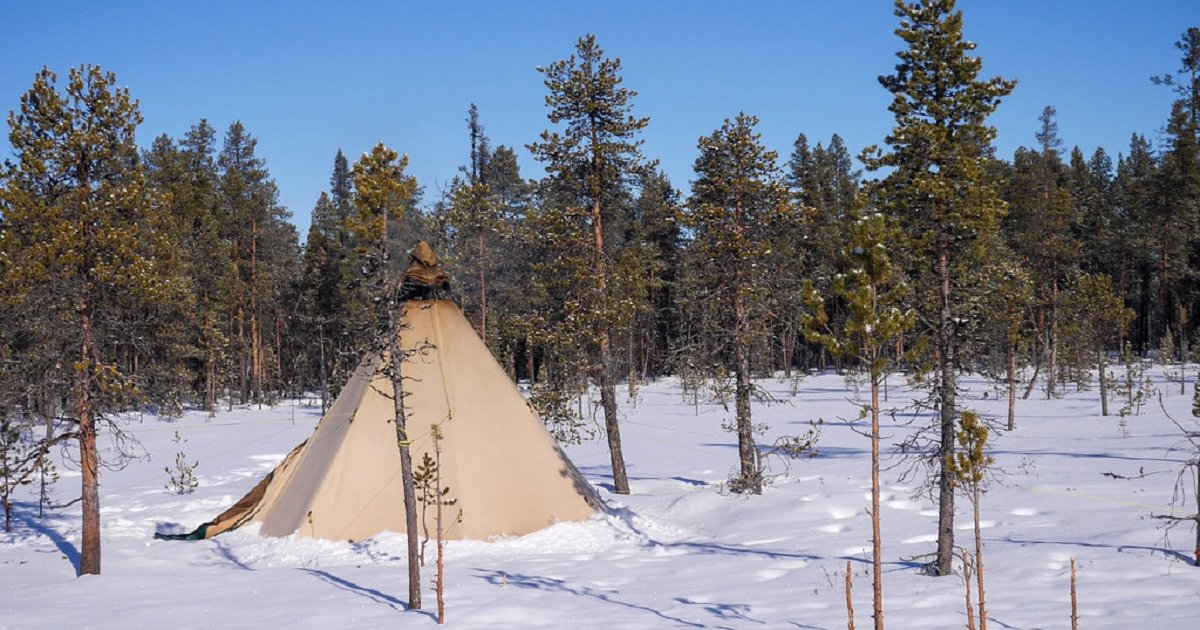 Tents and Trees Logic Puzzle #164 Quiz - By garolo