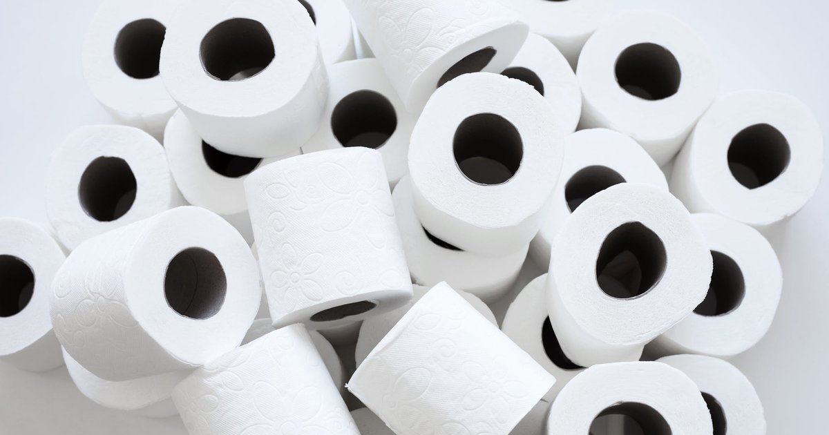 Countries that produce most Toilet Paper Quiz - By 1009856