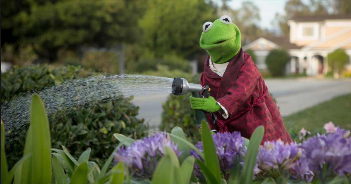 Click Kermit the Frog Quiz - By Stinkystingy