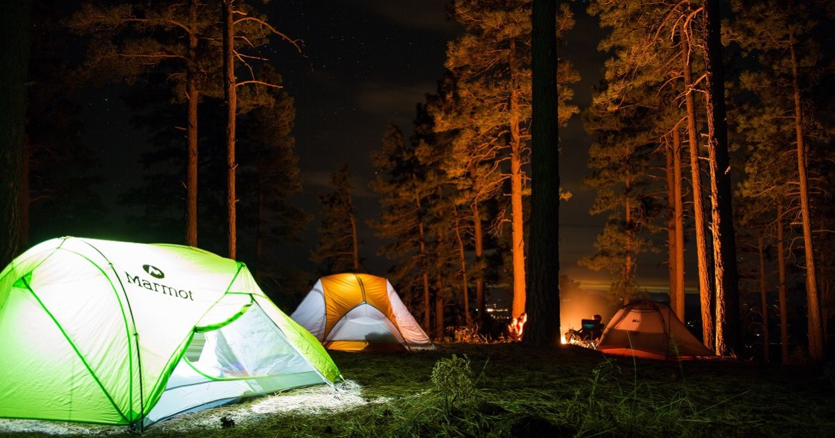 Tents and Trees Logic Puzzle #180 Quiz - By garolo