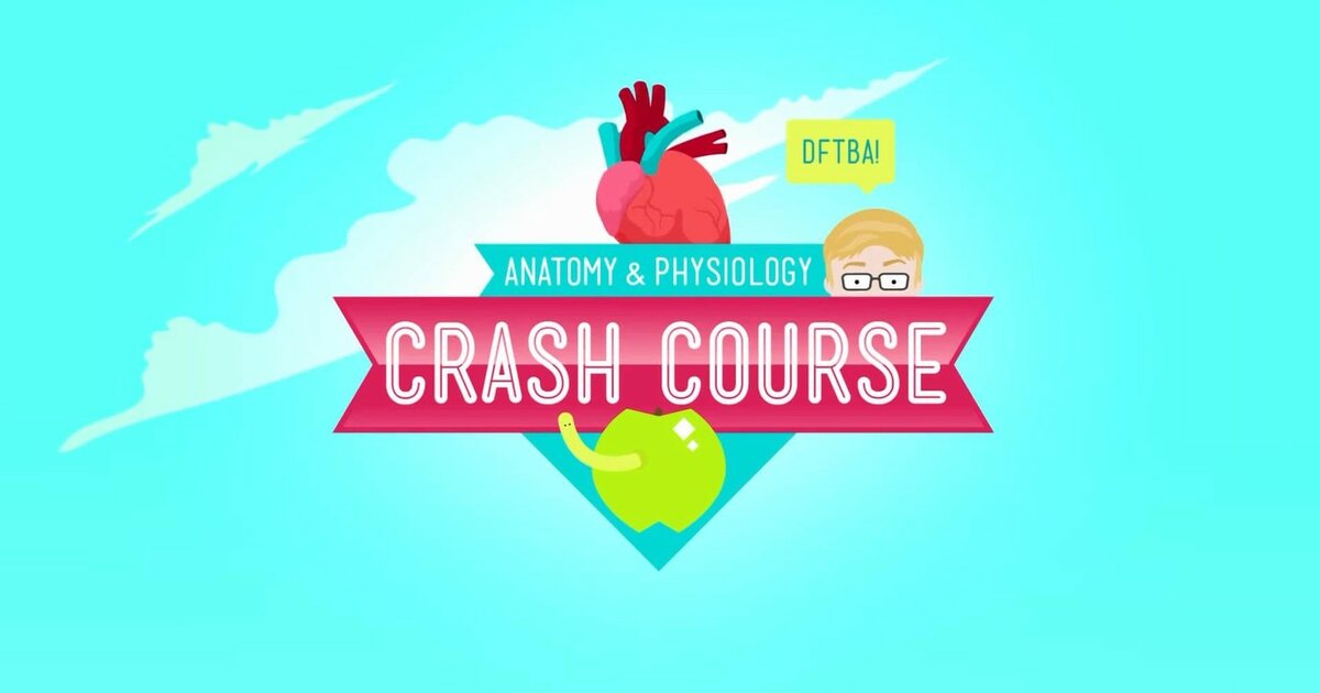 Crash Course Blanks: Intro to Anatomy and Physiology Quiz - By KStericker
