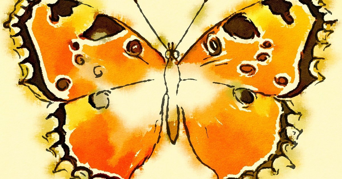 Distorted Animals Quiz