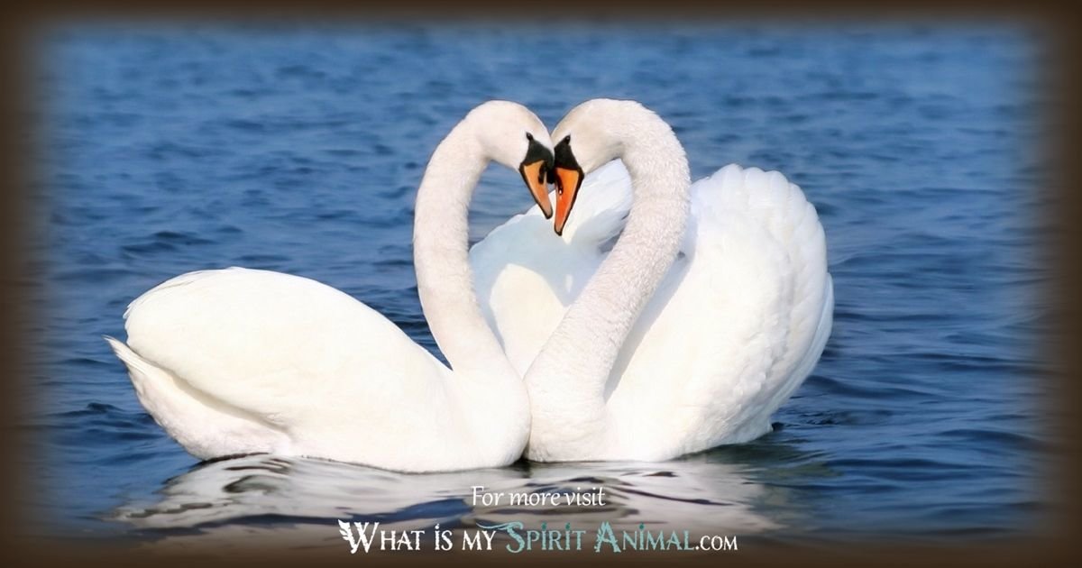 Guess the meaning of these Dutch animal names Quiz - By cgun2ml