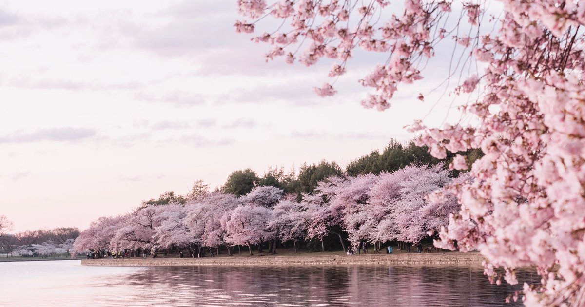 101 Core Japanese Words Quiz By Mazzl67 101-core-japanese-words-quiz-by-mazzl67
