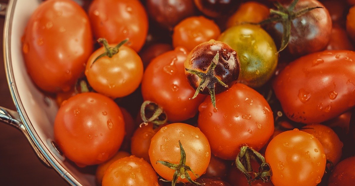 Quick Pick: Tomato Varieties Quiz - By kjeverhart