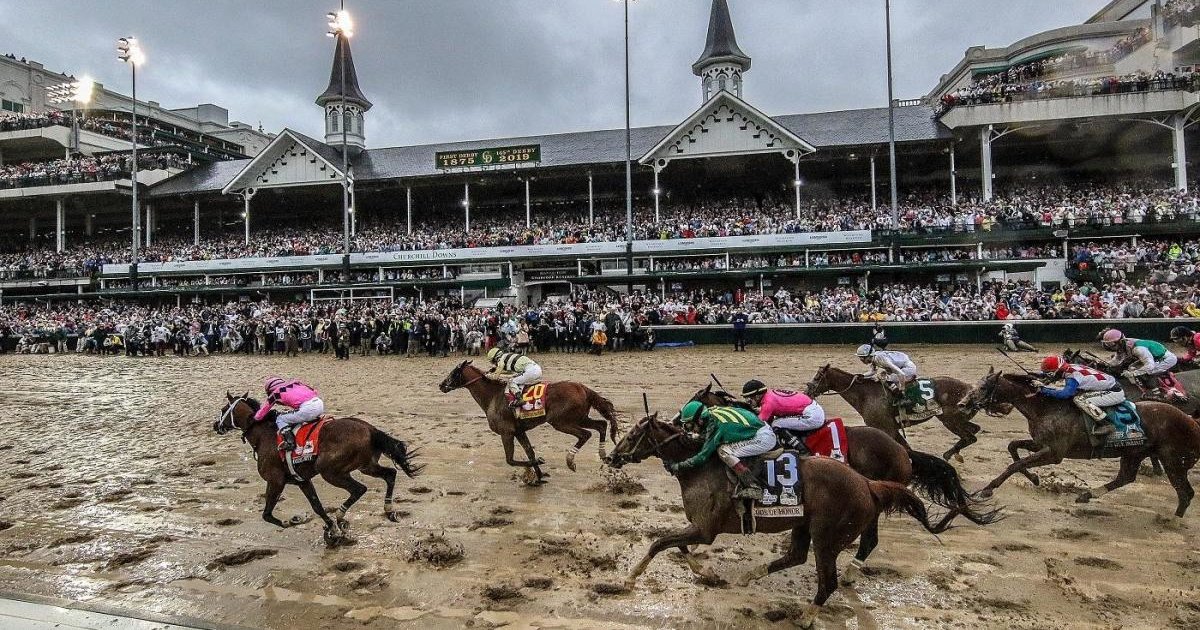 'D___Y' Picture Click Quiz - By johncenafan612