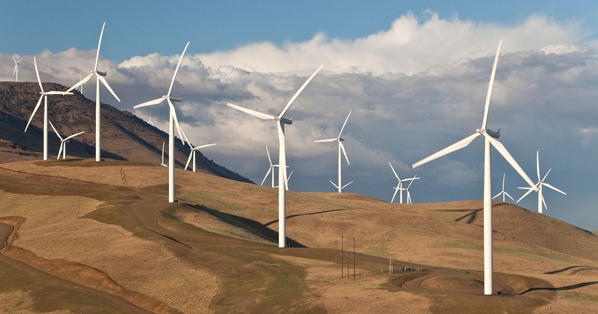 Find the Wind Animals Quiz - By alvir28