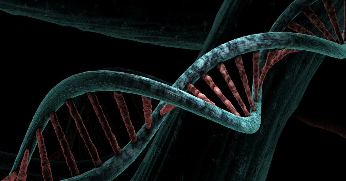 Punnett Square Puzzle: 4-Letter Words II Quiz - By laurence1