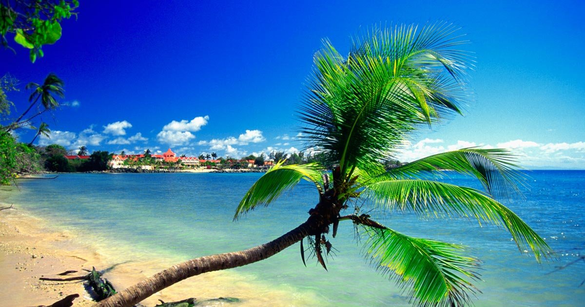 All about... Trinidad and Tobago Quiz - By mucciniale