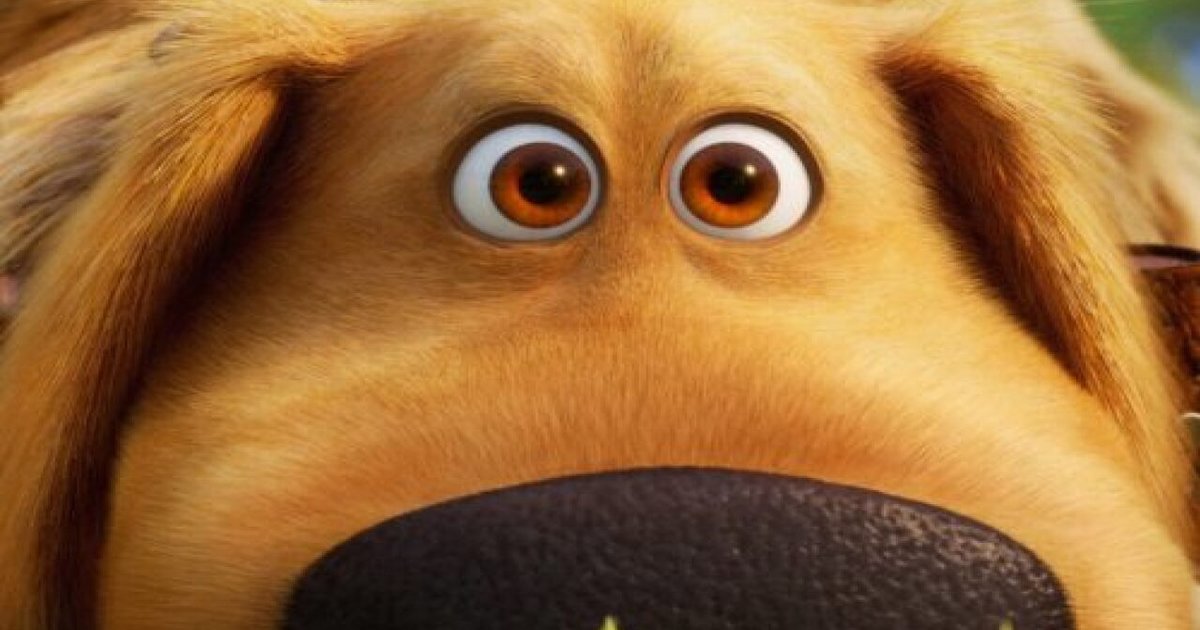 Up Characters Close-Up Quiz - By johncenafan612