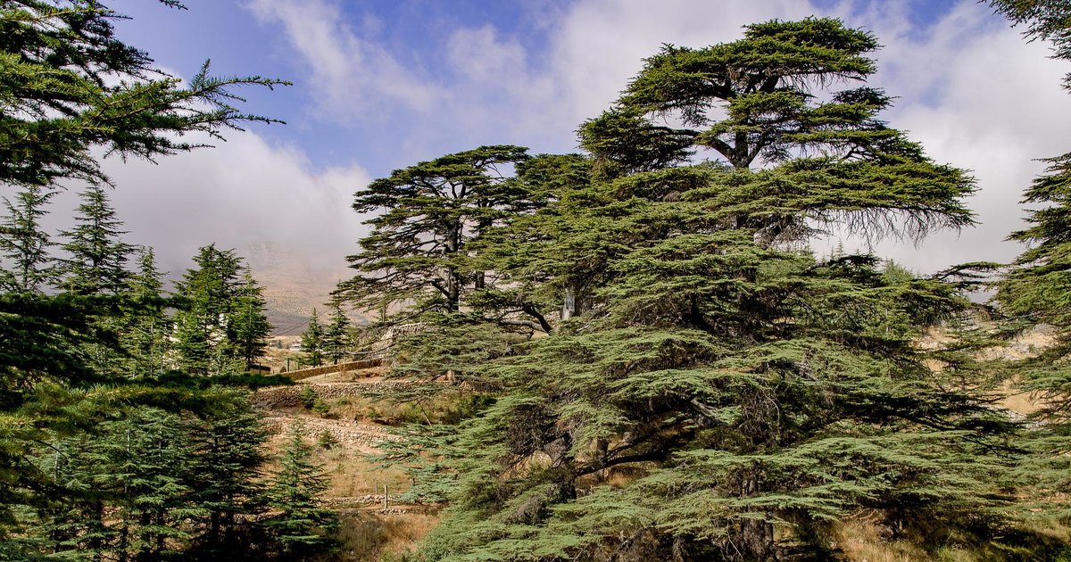 Lebanon 10-to-1 Quiz - By sweeter