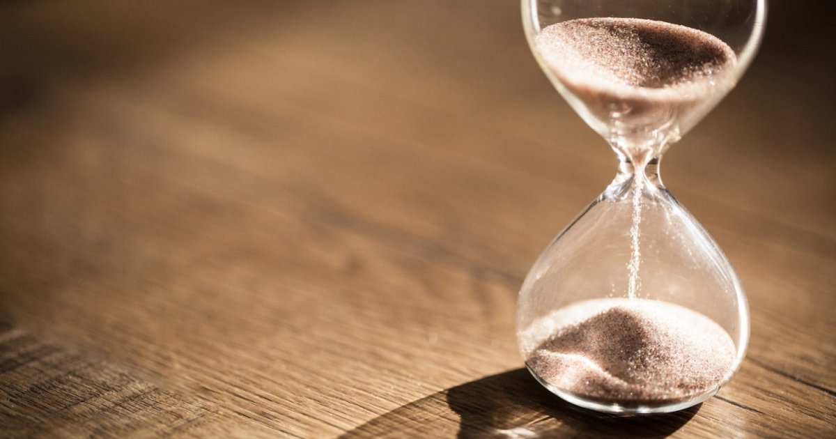 Find the Hourglass Animals Quiz - By alvir28