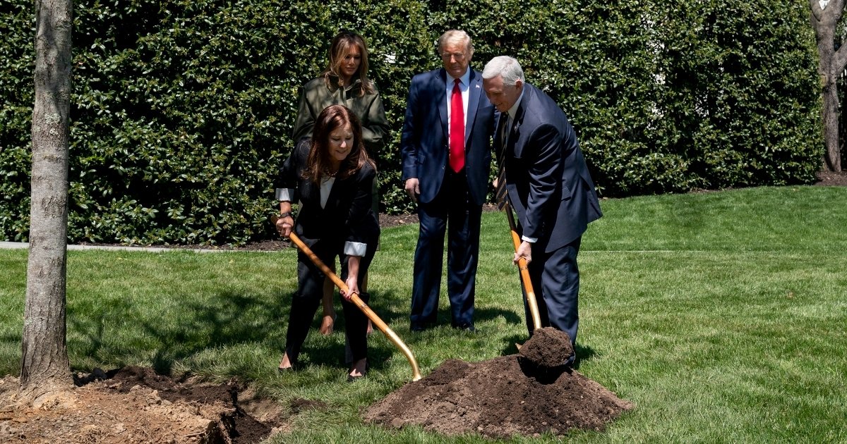 Acrostic: Tree Day USA Quiz - By spanachan