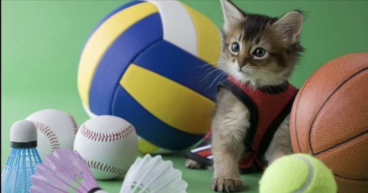 Cats Playing Sports Quiz - By rae_cat