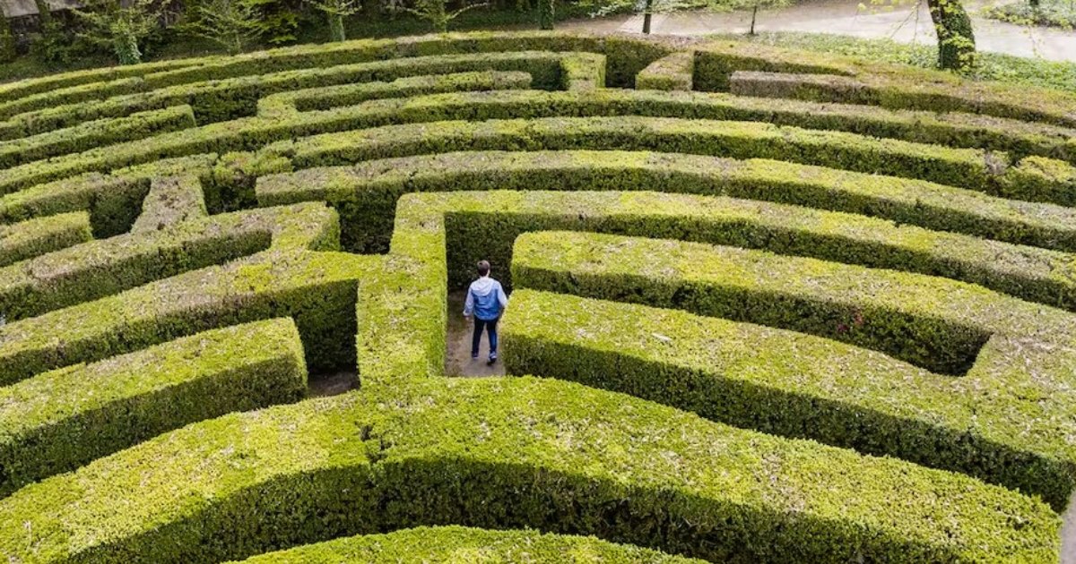 Minefield Maze Reveal: Geography Quiz