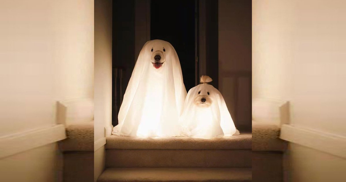 Follow That Line: ghosts Quiz - By fellowmerry