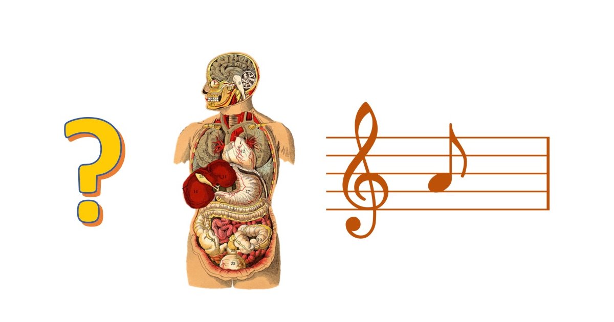 Anatomy of a Song 2 Quiz - By sufradley