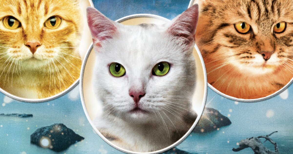 Warrior Cats Pebbleshine's Kits by First Line Quiz - By spiderwing21
