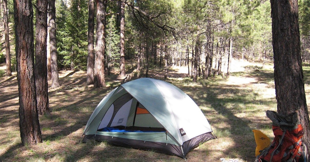 Tents and Trees Logic Puzzle #210 Quiz - By garolo