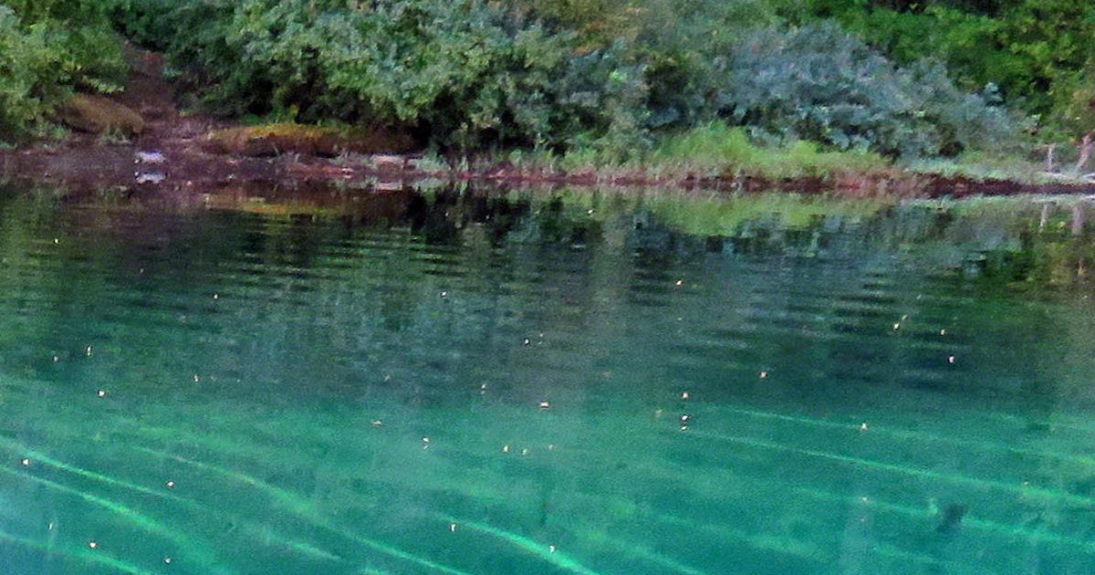 Percy Jackson Crossword Quiz - By catabethchase