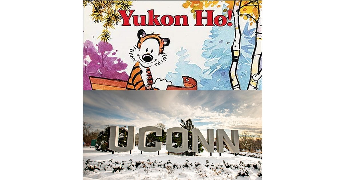 Yukon or UConn? Quiz - By Tasi