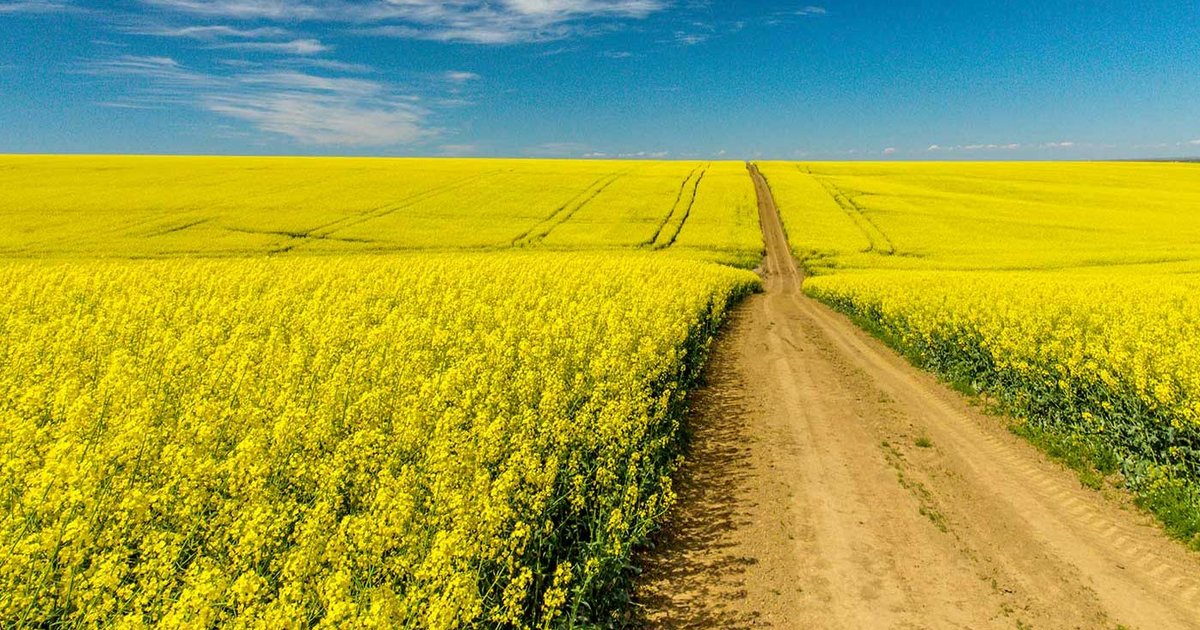 History on a Map: Science in North America Quiz - By Berrigan