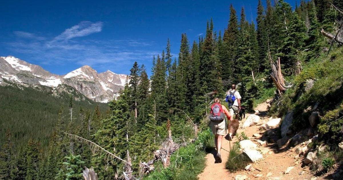 Define, 'Out Doors' Quiz - By jimbaz